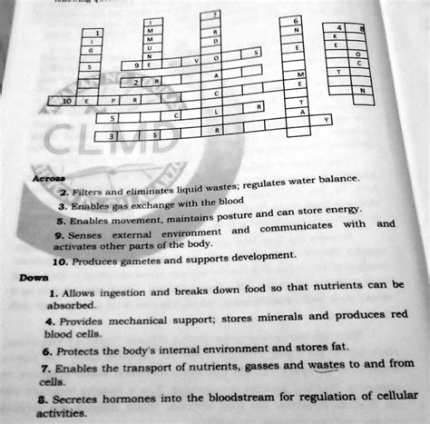 D Following Questions Write Your Answers On Your Answer Sheet Learning