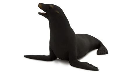 Mojo Fun Mojo Fun Lachtan Kalifornský Bscom Cz