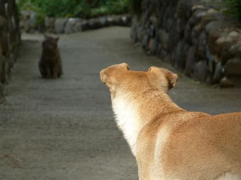 handling synchronous iterables r typescript