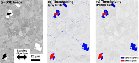 Data Merging And Segmentation Of The Multi Modal Dataset A Download Scientific Diagram