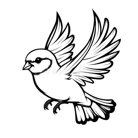 Bird Drawing