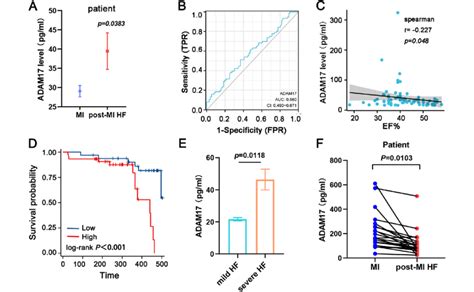 High Expression Of Adam17 Is Associated With The Occurrence Of Post Mi