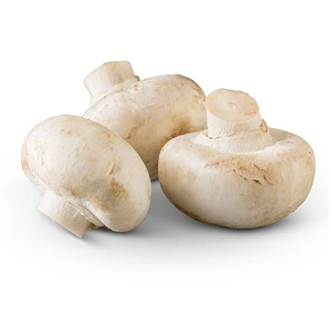 White Button Mushrooms [image] Eurekalert Science News Releases