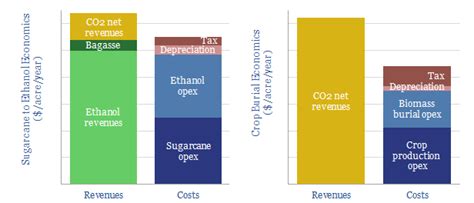 Biomass To Biofuel Or Biomass For Burial Thunder Said Energy