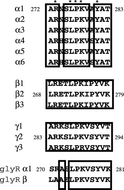 Alignment Of Tm23 Extracellular Loop Of Gaba A And Glycine Receptor