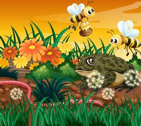 Frog Bug Cartoon Vector Images Over 430