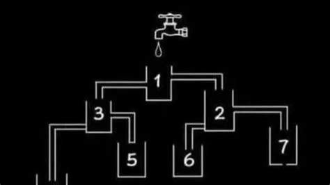 Only 1 Of People Can Work Out Which Cup Gets Filled First In Frustrating Riddle Mirror Online