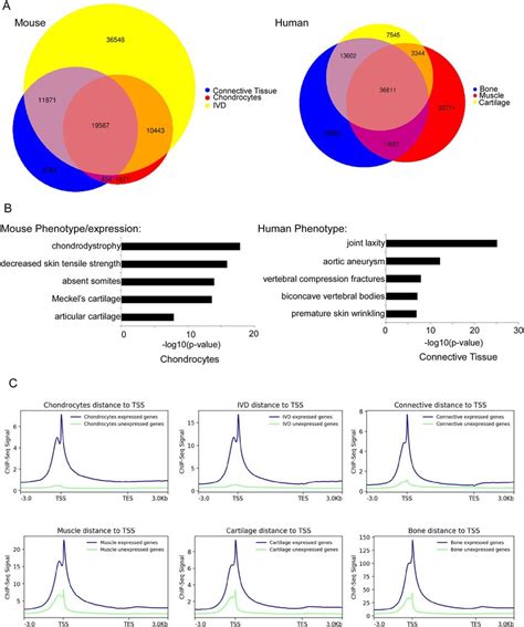 Chip Seq Identifies Active Regulatory Elements In Ais Associated Download Scientific Diagram