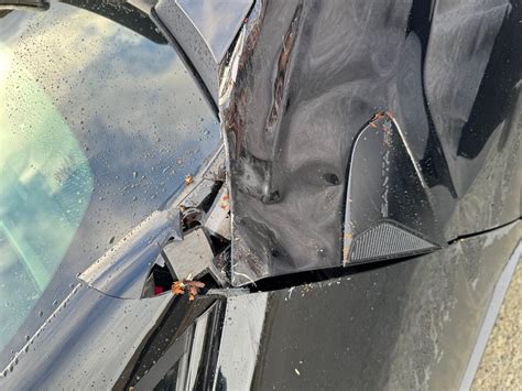 Tree Branch Damages New Car But Mount Barker Council Wont Help Pay The Courier Mail