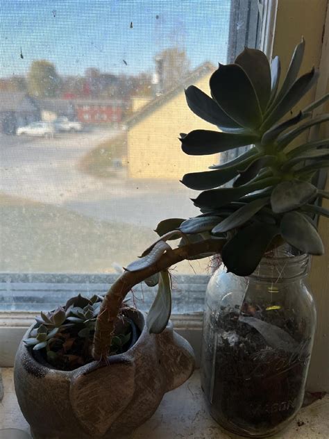 Stepmom Needs Help With This Shes Had It For Two Years Does It Need