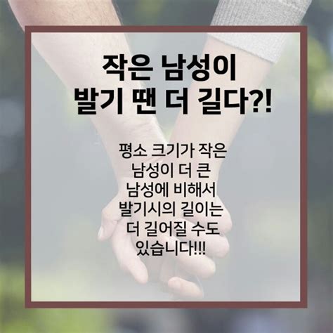남성 성기에 대한 진실 인스티즈 instiz 이슈 카테고리