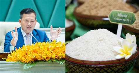 សម្ដេចធិបតី៖ កម្ពុជា កំពុងដាំដុះ«ចំប៉ីស៧០ ជាច្រើន ក្នុងគោលបំណងលើកស្ទួយកម្រិតជីវភាព ប្រជាកសិករ