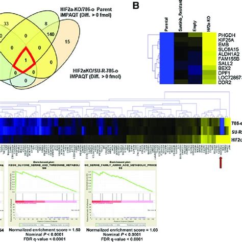 Rna Sequence And Quantitative Proteomics Analyses Identified Key Download Scientific Diagram