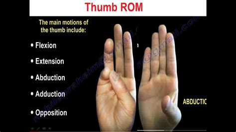 Range Of Motion Mcp Joint At Dale Blackburn Blog