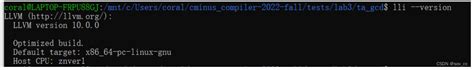 编译原理lab3 cminus compiler 2022 fall 访问者模式遍历ast csdn博客