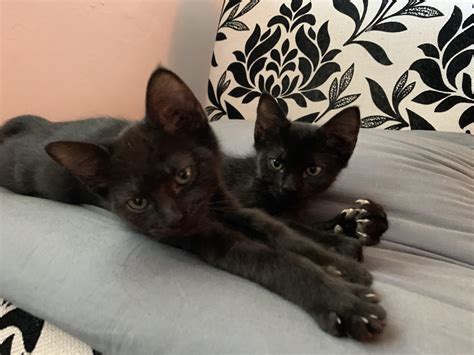 3723 Best Sallys Images On Pholder Old School Celebs Aww And Old