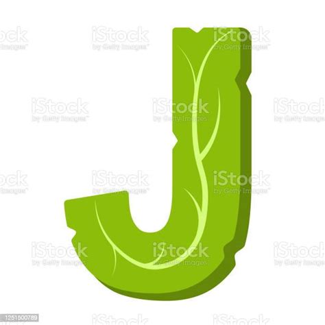 편지 J 녹색 잎 여름 벡터 알파벳 3차원 형태에 대한 스톡 벡터 아트 및 기타 이미지 3차원 형태 건강한 생활방식 건강한 식생활 Istock