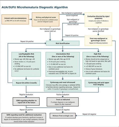 Aua2025 Plenary Recap Microscopic Hematuria Guideline Amendment