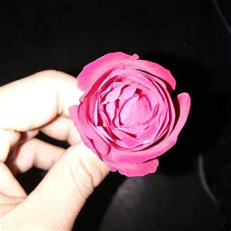 build websites from scratch with html and css career compiler