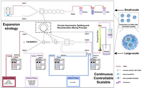 微流控微液滴生成pdms芯片 Fluidiclab微流控实验室值得您信赖的微流控合作伙伴