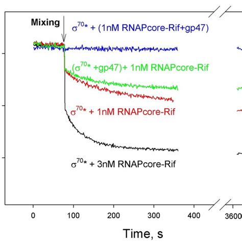 Binding Of Saph711 Gp47 To E Coli Rna Core Enzyme The Affinity Of Download Scientific Diagram