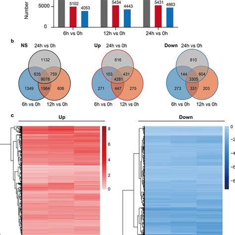 Overview Of The Transcriptome Data A Transcriptome Assembly And Download Scientific Diagram