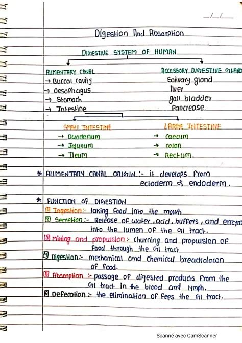 SOLUTION Digestion And Absorption Studypool