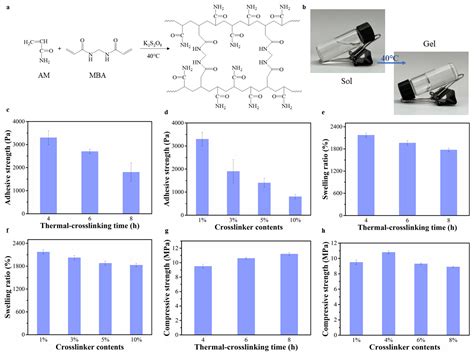 The Effect Of Crosslinking Degree Of Hydrogels On Hydrogel Adhesion