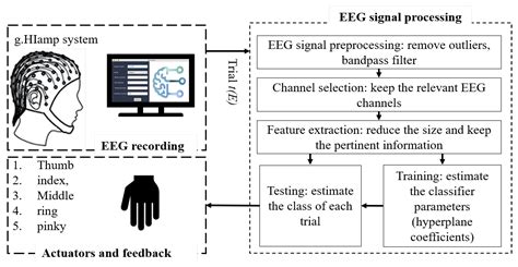 Eeg Based Bci System To Detect Fingers Movements