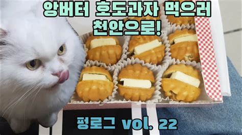 펑로그 Vol22 앙버터 호도과자 먹으러 천안으로 Youtube