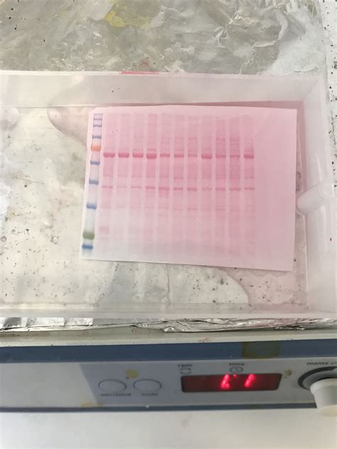 134 Questions With Answers In Bca Assay Scientific Method