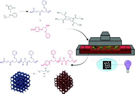 Stereochemistry And Stoichiometry In Aliphatic Polyester Photopolymers