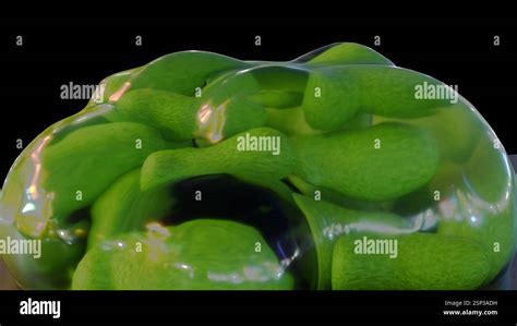 3d Rendering A Lumpy Mass Represents The Extracellular Polymeric