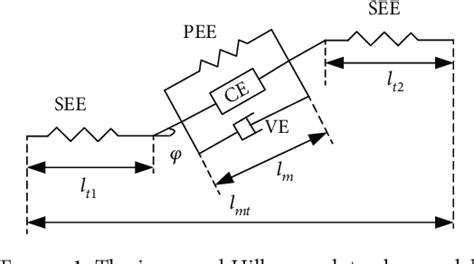 Figure 1 From An Improved Emg Driven Neuromusculoskeletal Model For Elbow Joint Muscle Torque
