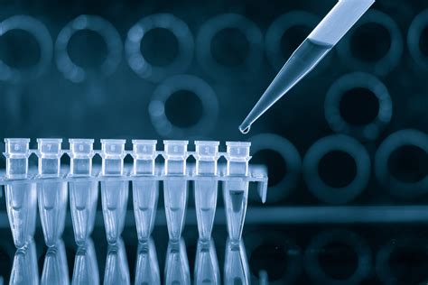 What Makes Pcr Testing A Powerful Diagnostic Tool