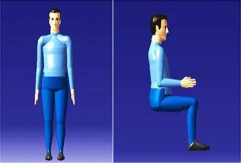 Human Digital Model In Standing And Sitting Posture By Using Download Scientific Diagram