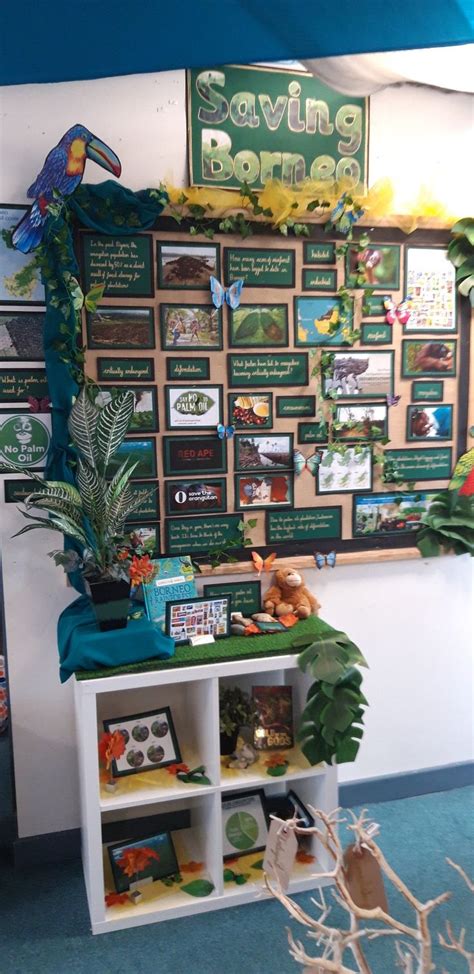 Pin On Rainforests Classroom Displays Ks2 School Library Displays