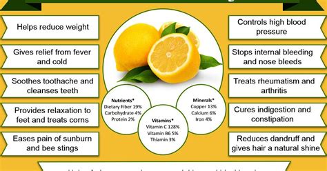 Daveswordsofwisdom Com The Health Benefits Of Eating Lemons