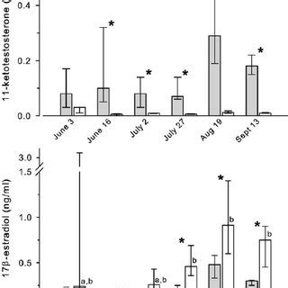 Temporal And Sex Differences In Circulating Kt And E Download Scientific Diagram