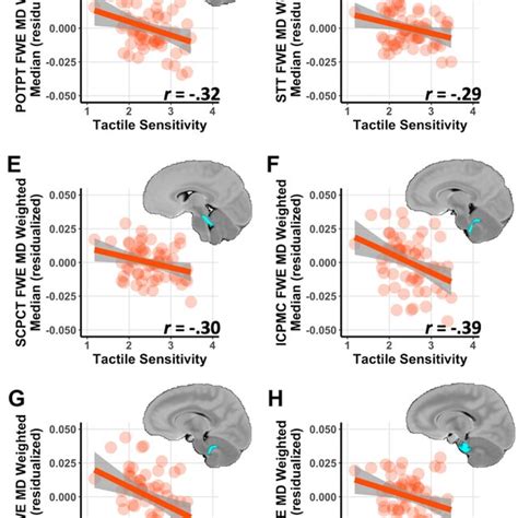 diagnosis dependent relationships between brainstem white matter