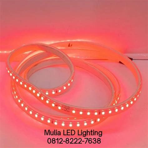 Jual Lampu Selang Led Strip 2835 120 Led 220 Volt Potongan 20 Cm Warna
