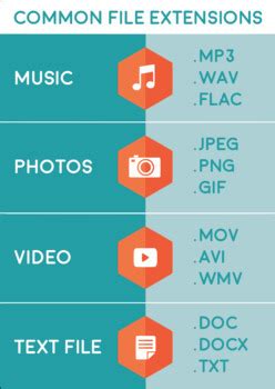 Common File Extensions Poster For Information Computer Digital Technologies
