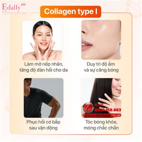 Collagen Type I Ii Iii Đâu Mới Là Collagen Phù Hợp Với Bạn