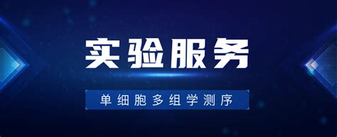 单细胞多组学技术——单细胞转录组 染色质可及性测序全流程解析 知乎