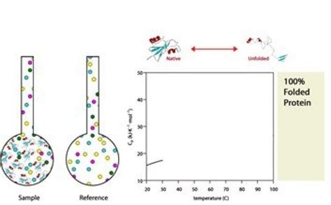 Differential Scanning Calorimetry Biomolecular Interactions Facility The Huck Institutes En US