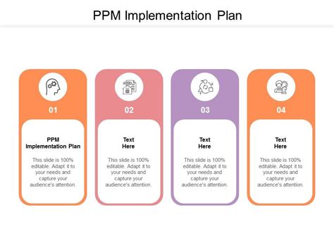 PPM Implementation Plan Ppt PowerPoint Presentation Icon Format Cpb