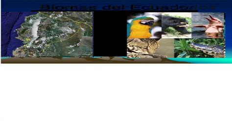 Biomas Del Ecuador Ppt Powerpoint
