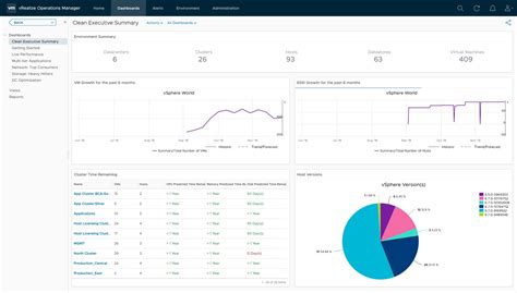 Clean Executive Summary Dashboard Samples Vmware {code}