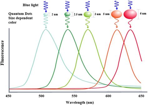 Quantum Dot Dimensions At Courtney Stansberry Blog