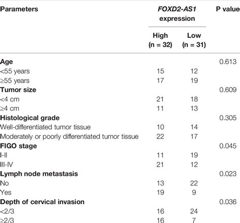Frontiers Long Noncoding Rna Foxd2 As1 Promotes The Malignancy Of